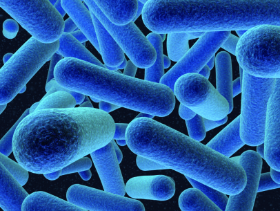 Federally Reported Multistate Listeria Outbreaks since January 2024 ...