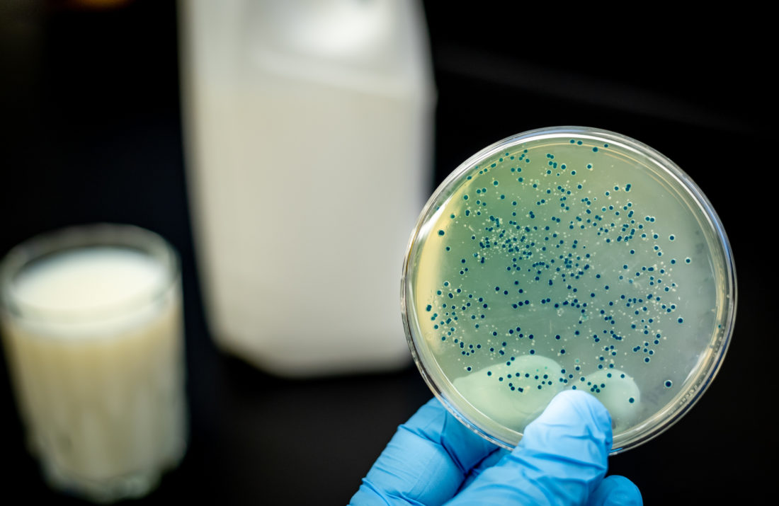 Raw Milk: Brucella melitensis in a 46-year-old Sussex County Woman ...