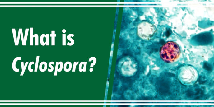 What to know about Cyclospora | Food Poison Journal