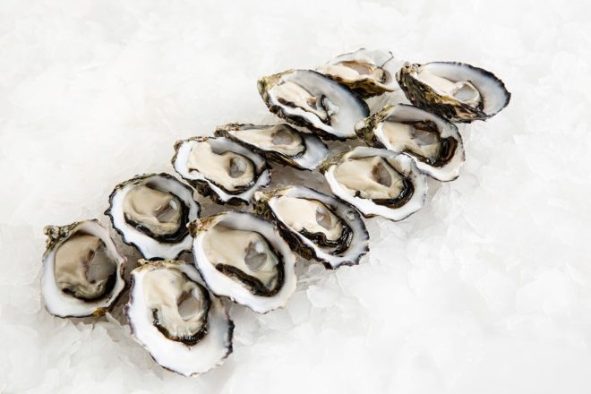 A Baker's Dozen of years of Oyster Norovirus Outbreaks | Food Poison ...