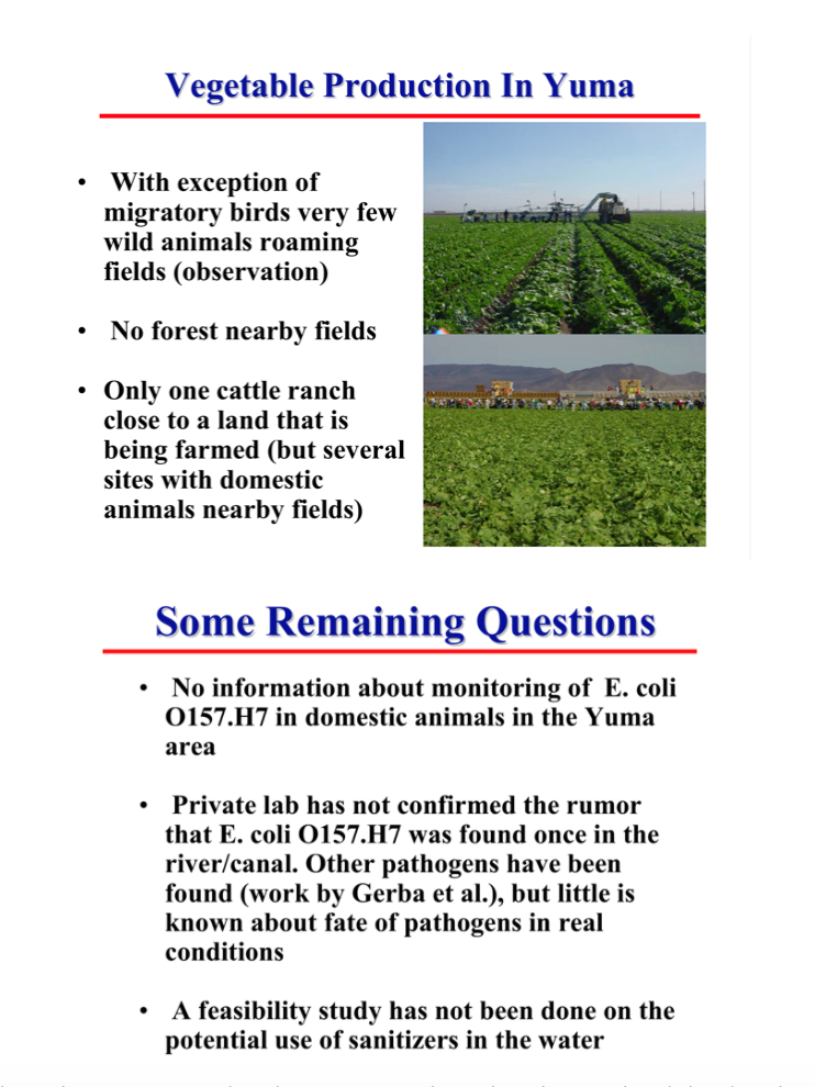 Is Another Yuma Romaine Lettuce E. coli O157:H7 Inevitable? | Food ...
