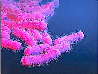 Shigella Outbreak hits conference at Westin Bonventure in Los Angeles ...